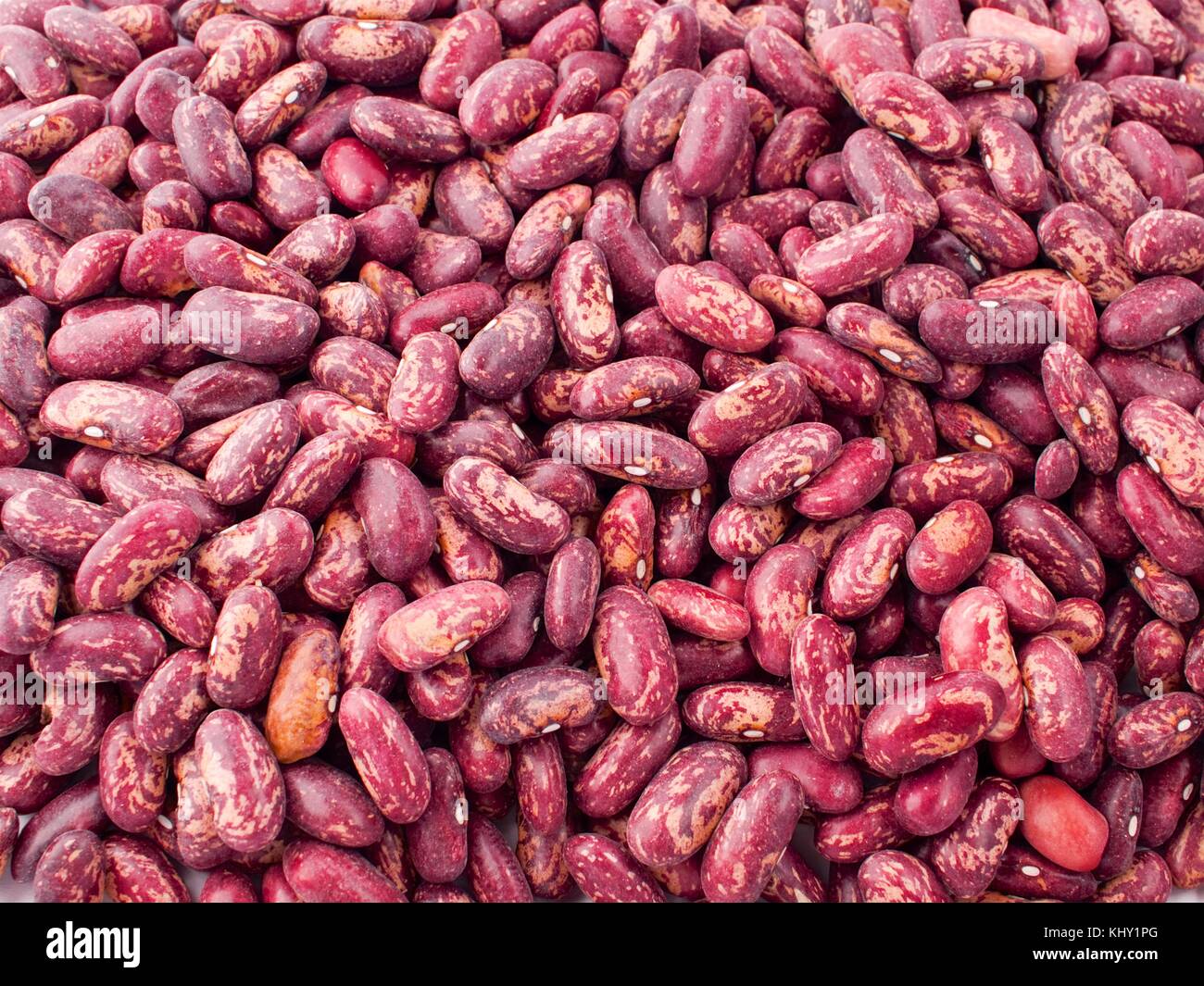 Haricot beans forming a background Stock Photo - Alamy
