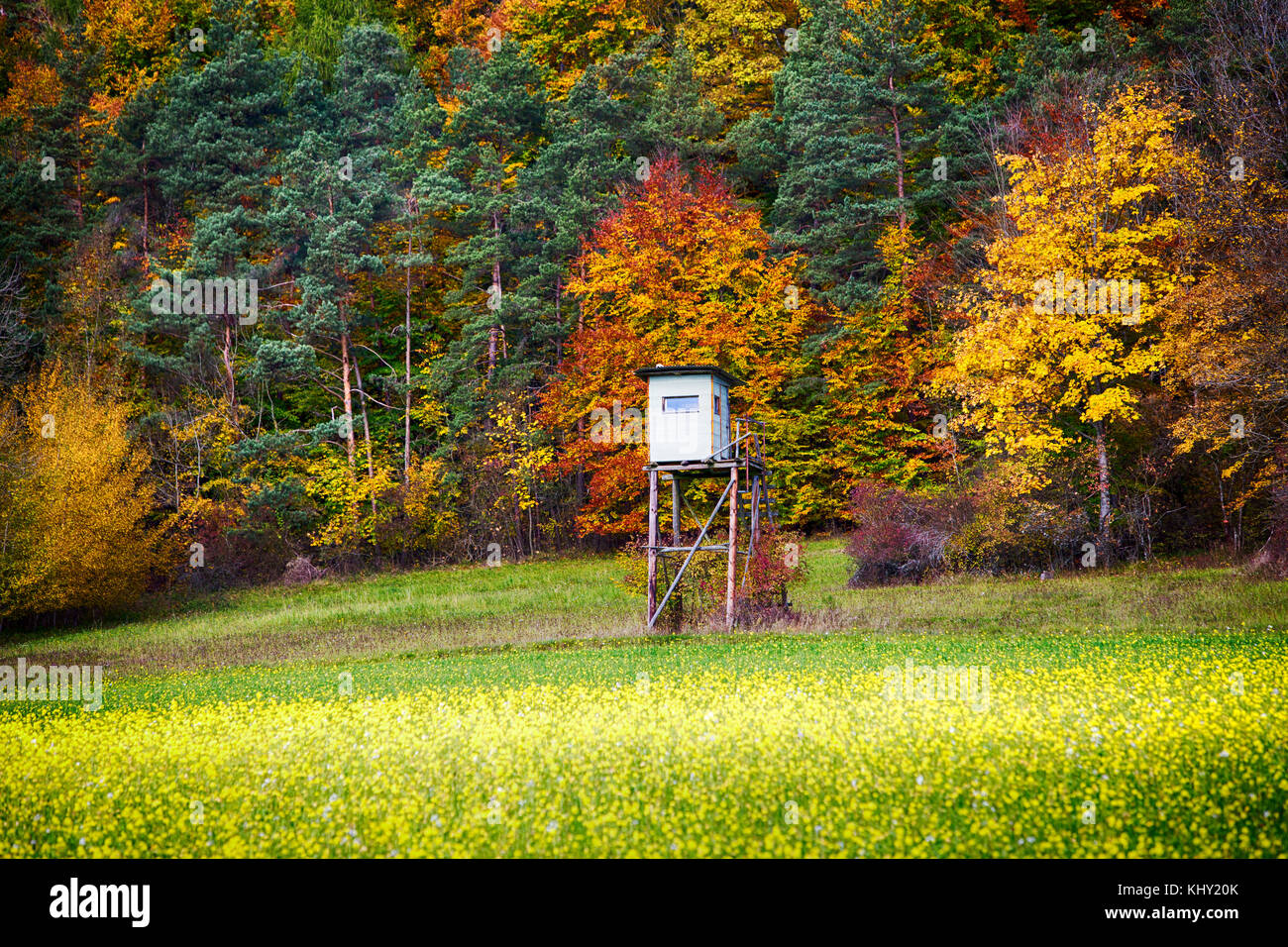 wooden hunters hut in front of colorful forest in the fall Stock Photo ...