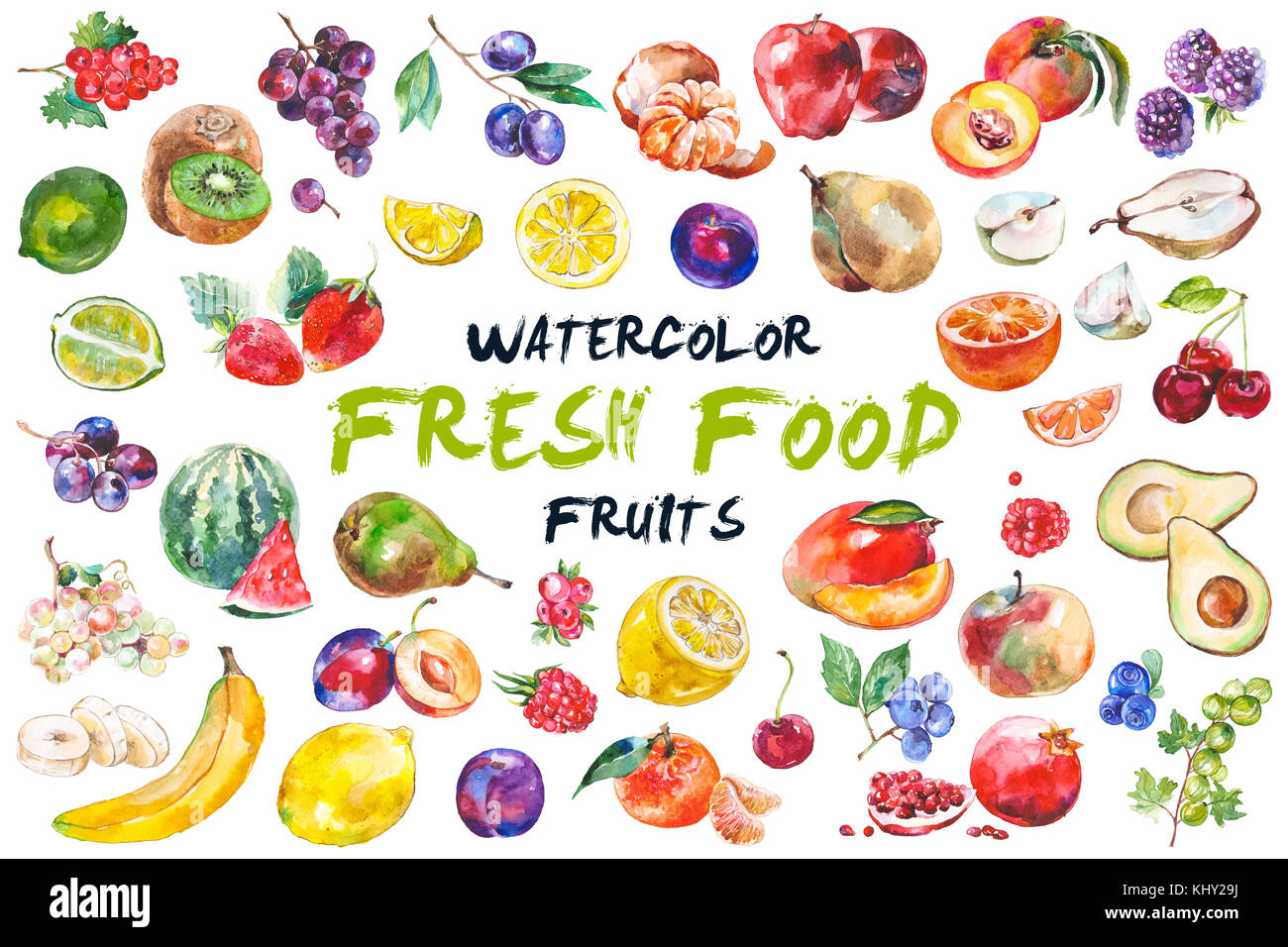 Watercolor painted collection of fruits. Hand drawn fresh food design ...