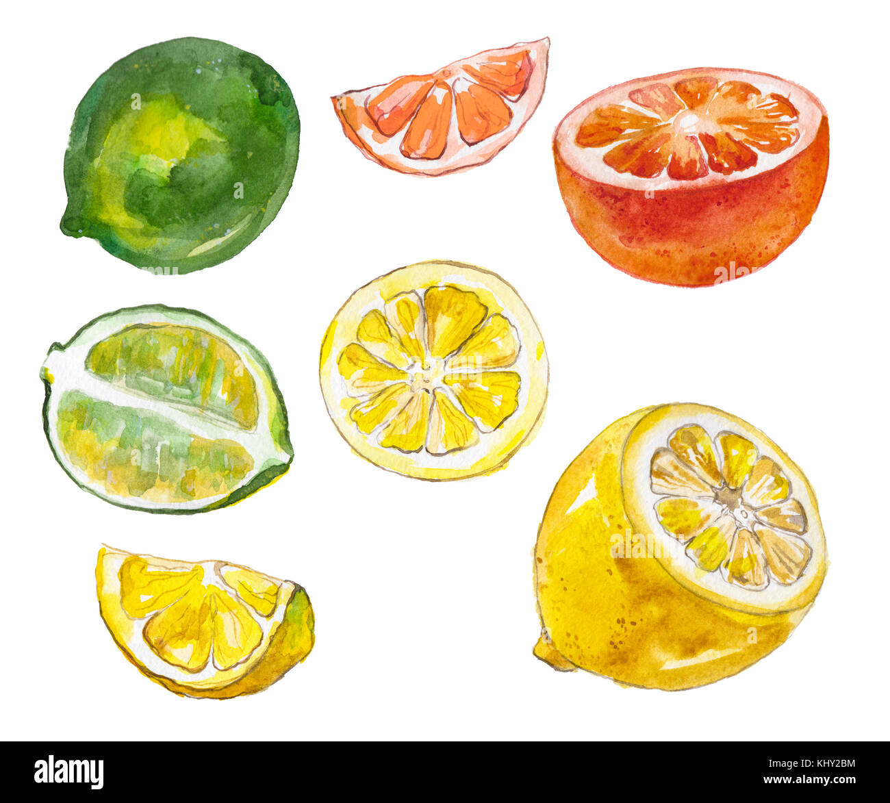 Watercolor fruits isolated on white Stock Photo - Alamy