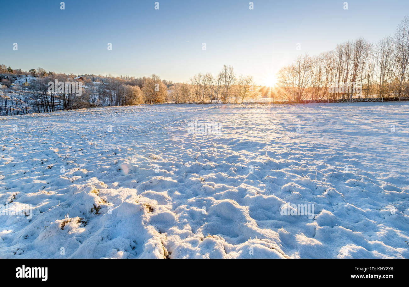 Winter landscape sunrise over snow covered field, with lens flare, in ...