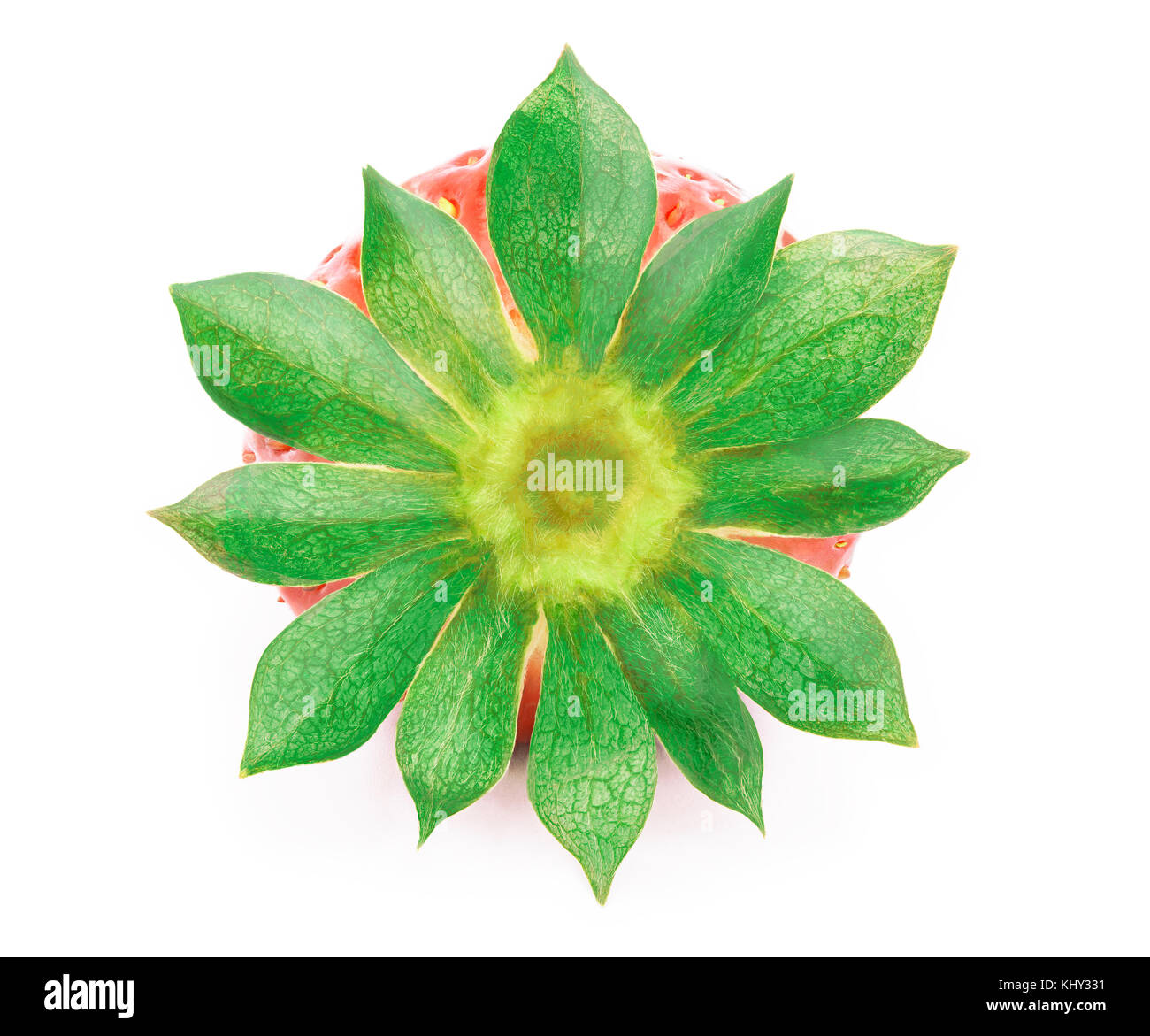 Back view of perfectly retouched strawberry with leaves isolated on the ...