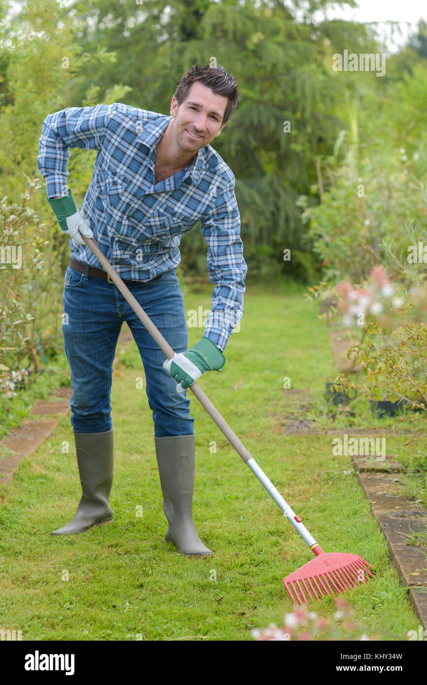 Man raking lawn Stock Photo - Alamy