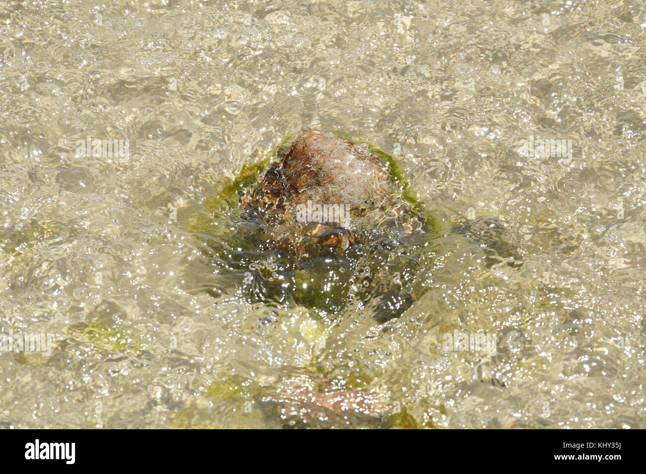 salt water flow to the rock Stock Photo - Alamy