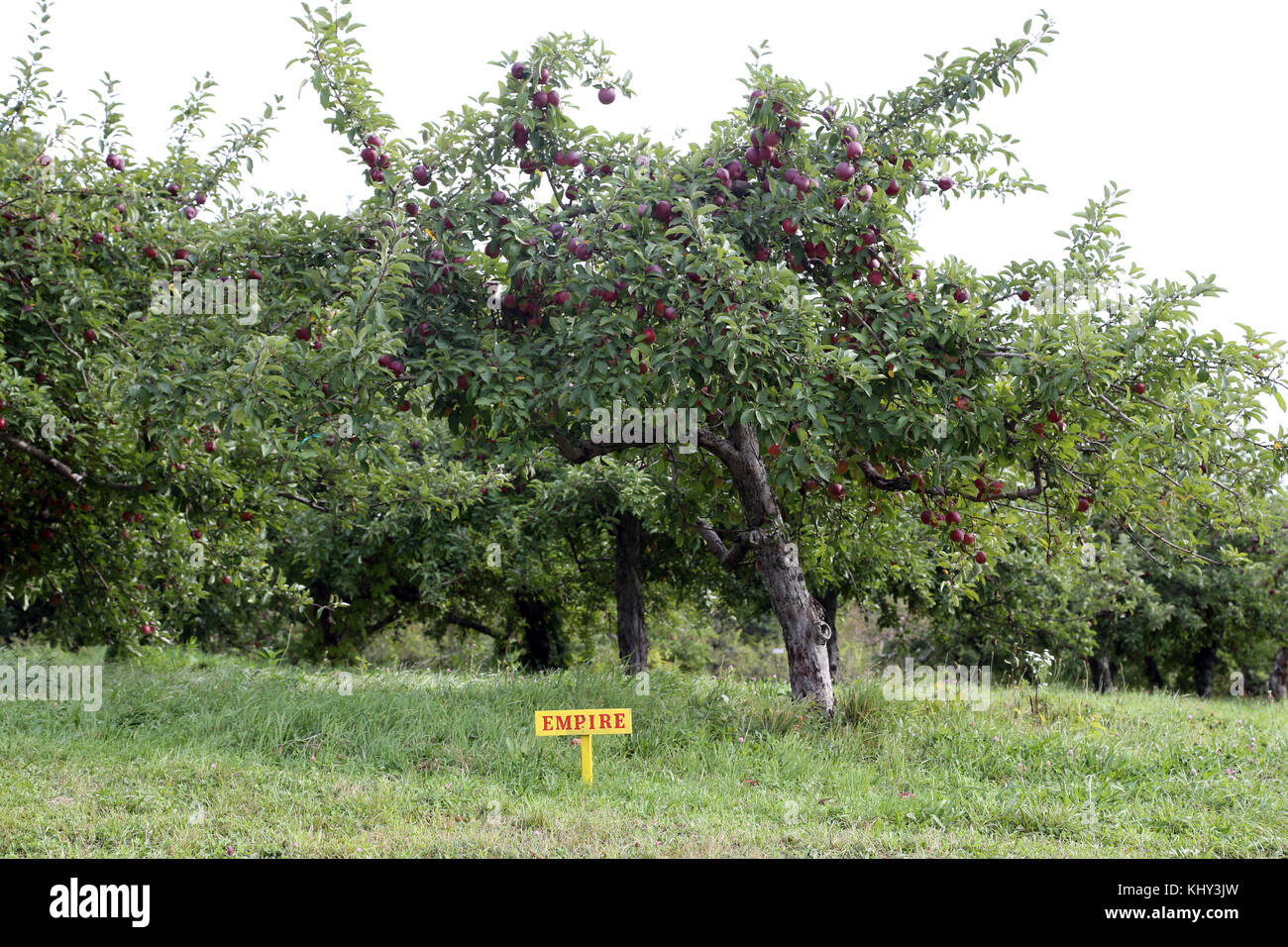Columbia county new york hi-res stock photography and images - Alamy