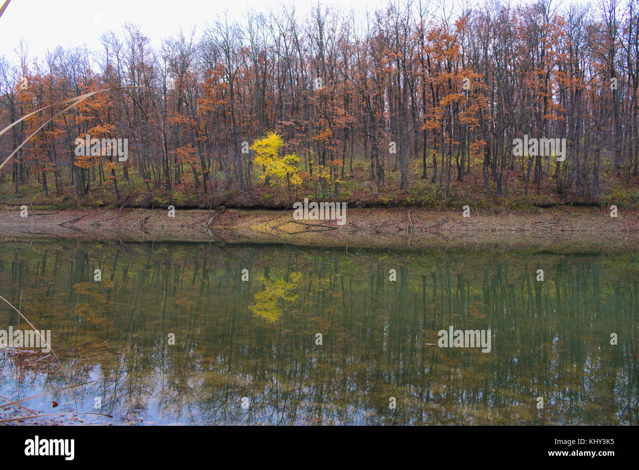 Falling leaves on a bulgarian lake in fall Stock Photo - Alamy