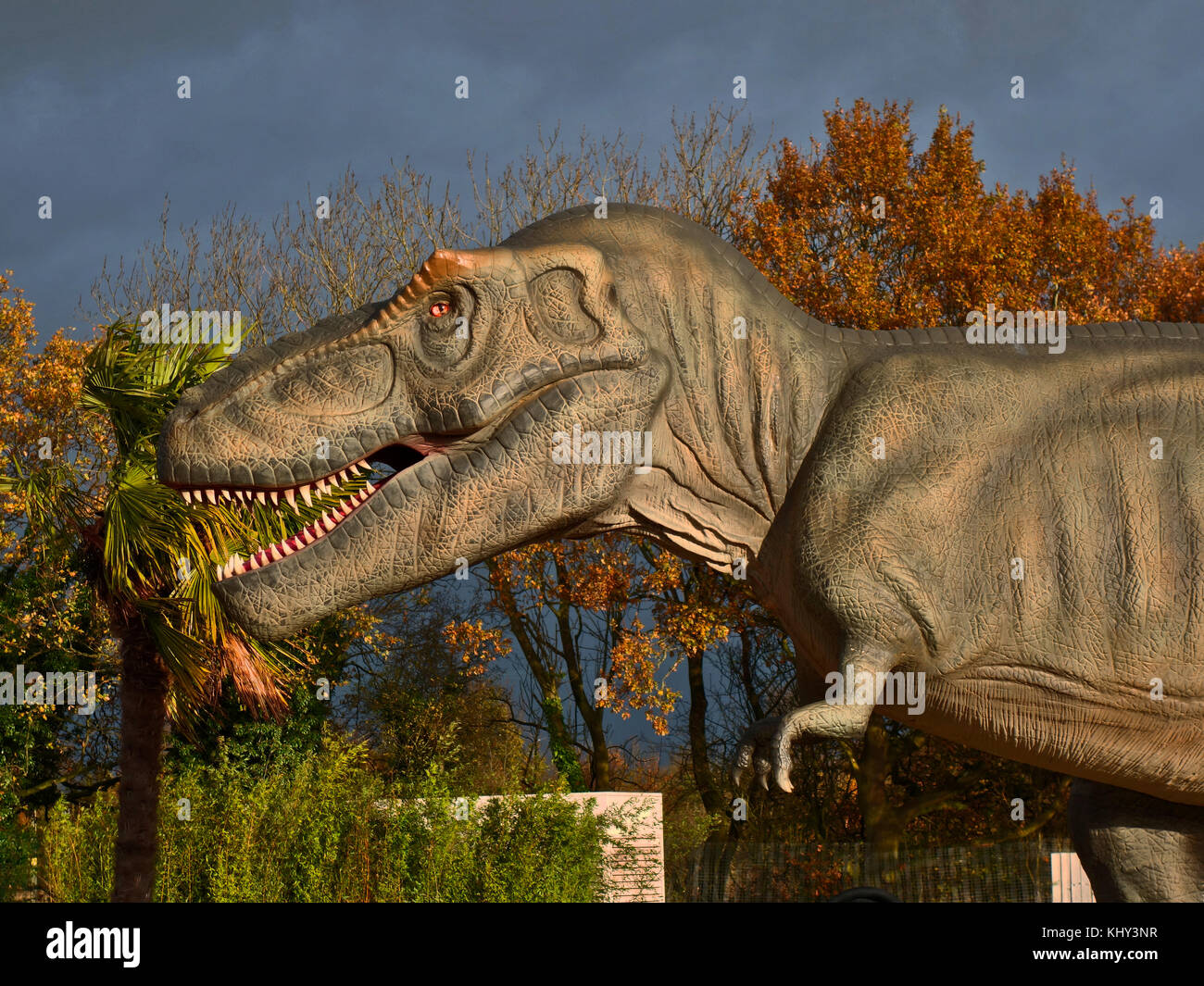a Tyrannosarus Rex dinosaur sculpture anatomically correct Stock Photo ...