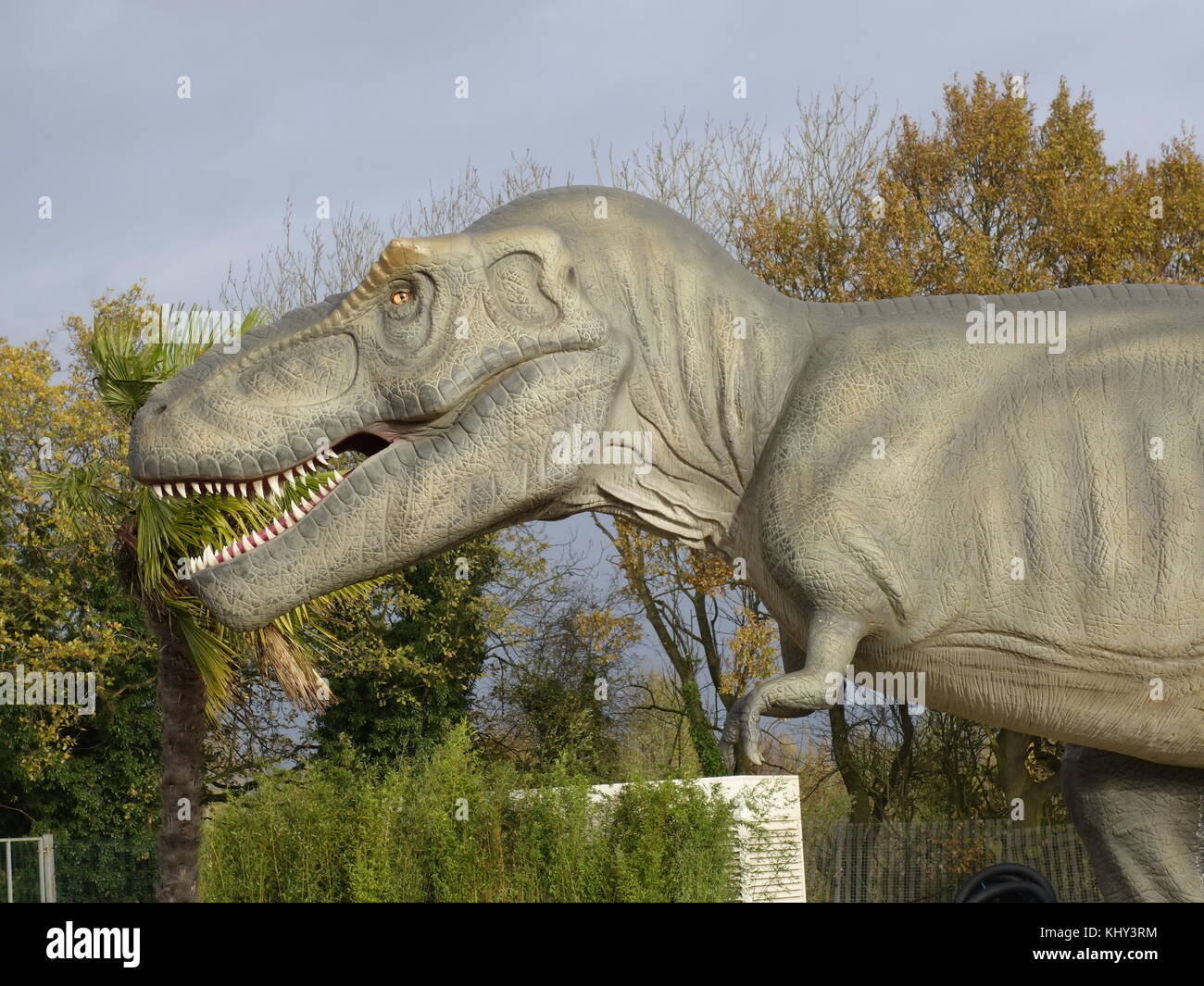 a Tyrannosarus Rex dinosaur sculpture anatomically correct Stock Photo ...