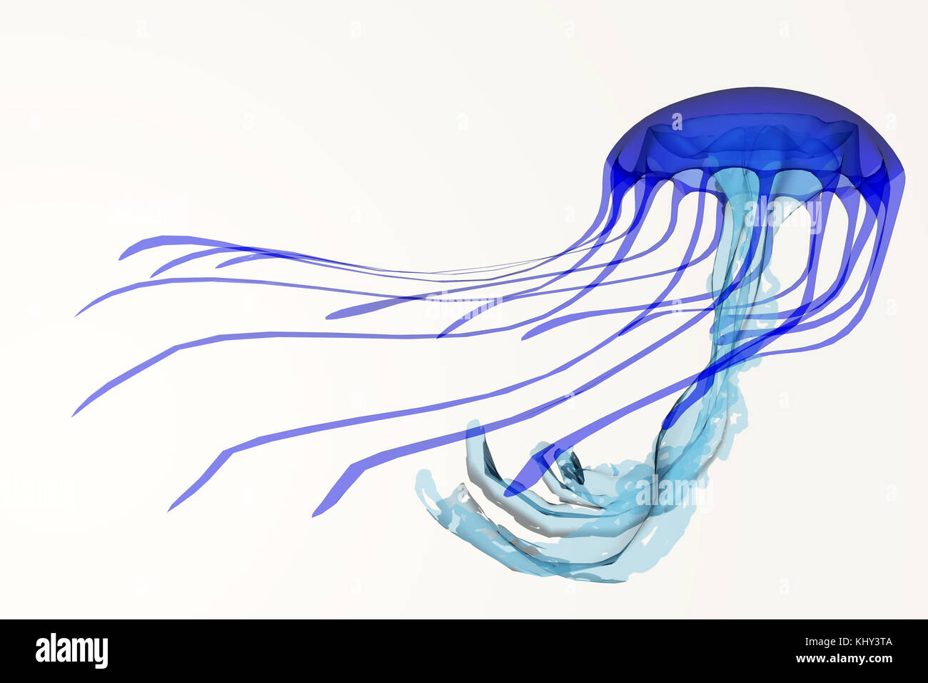 Biofluorescent fish hi-res stock photography and images - Alamy