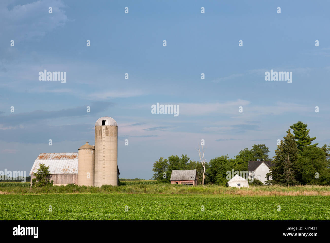 Abandoned family farm with barn and copy space. Rural countryside in ...