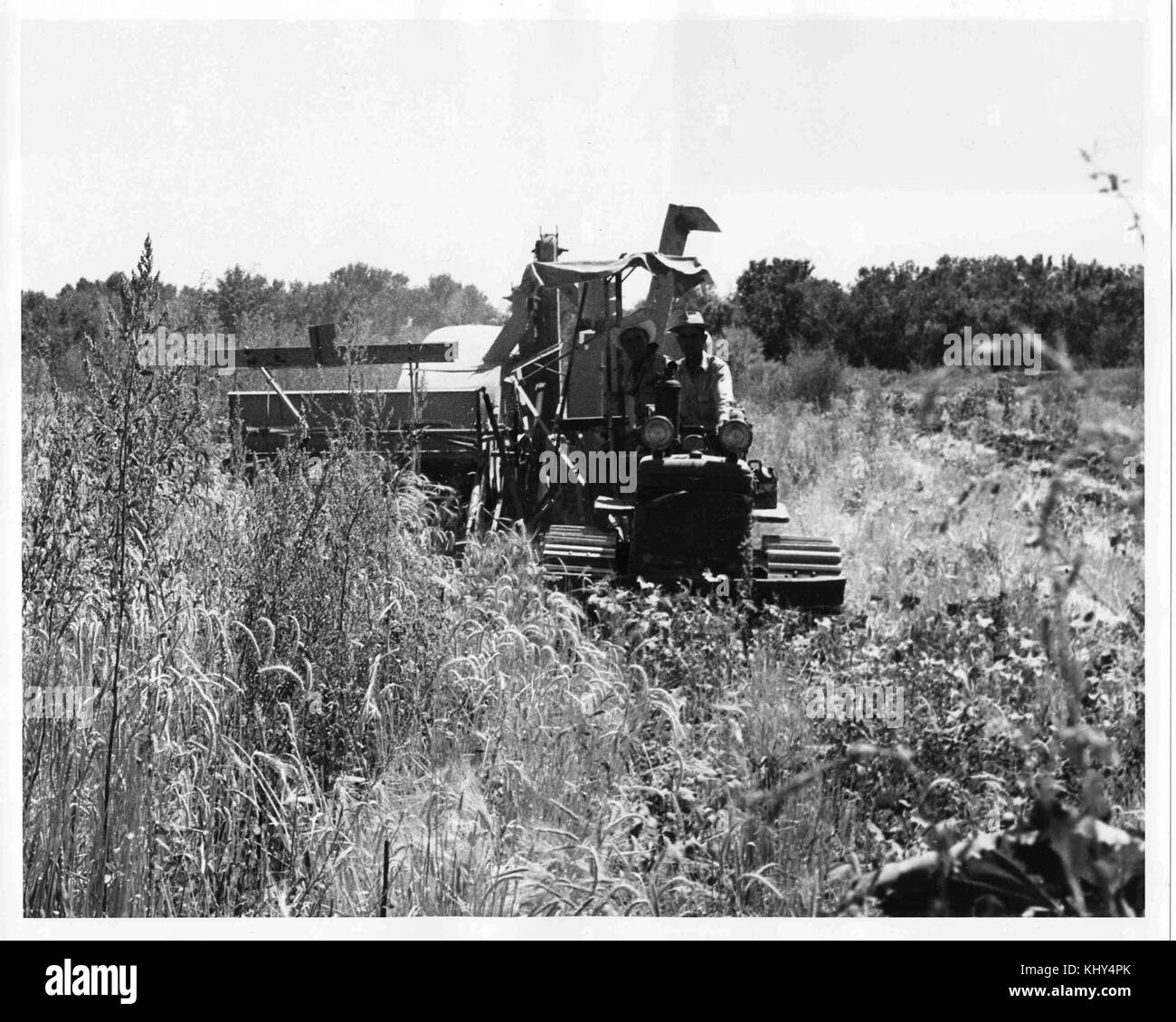 Combining wheat old vintage retro photo Stock Photo - Alamy