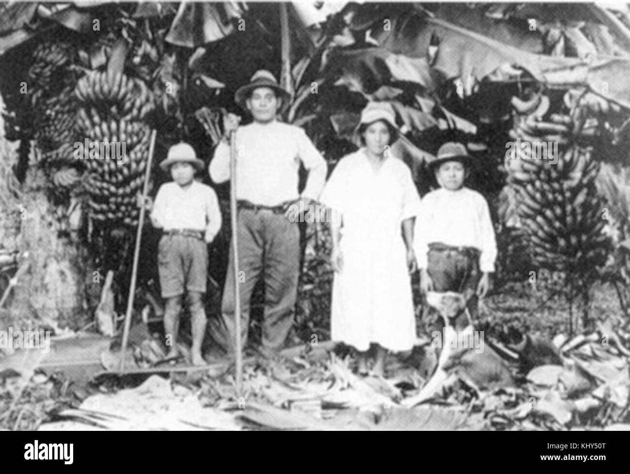 Japanese immigrant family in Brazil 02 Stock Photo - Alamy