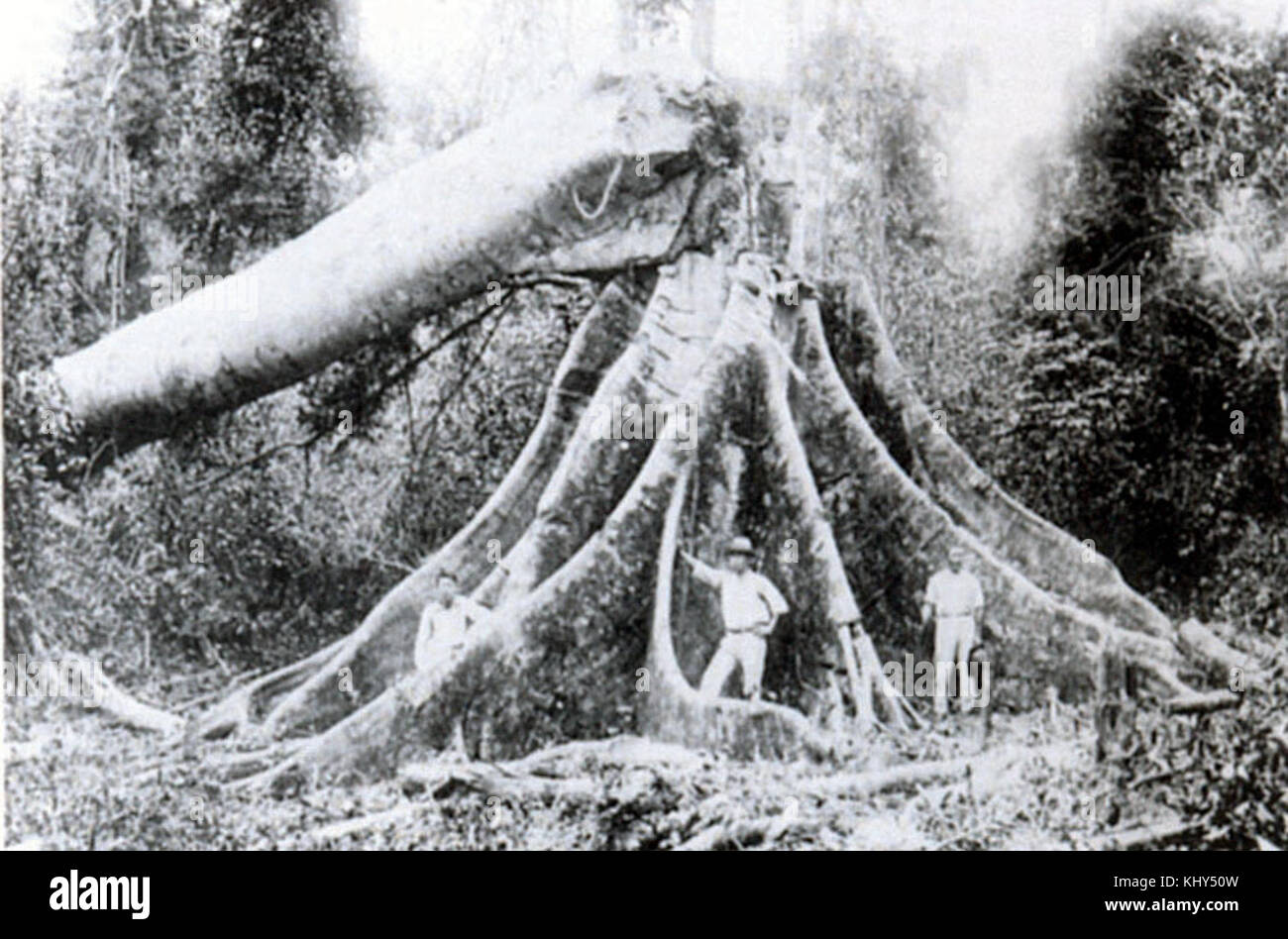 American japanese workers hi-res stock photography and images - Alamy