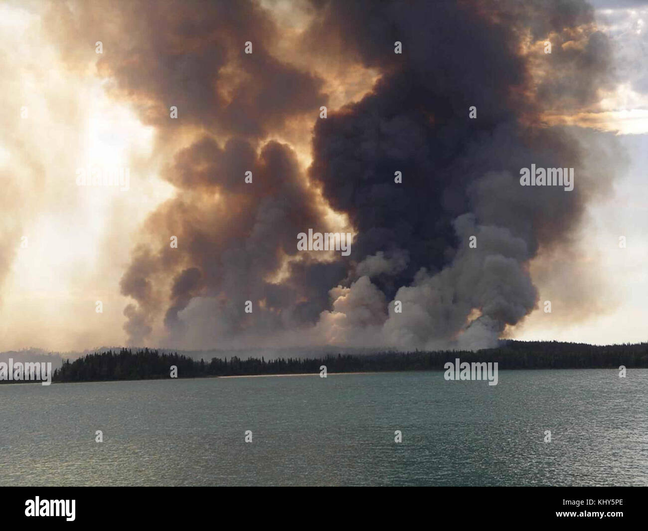 Crowning fire in forest Stock Photo - Alamy