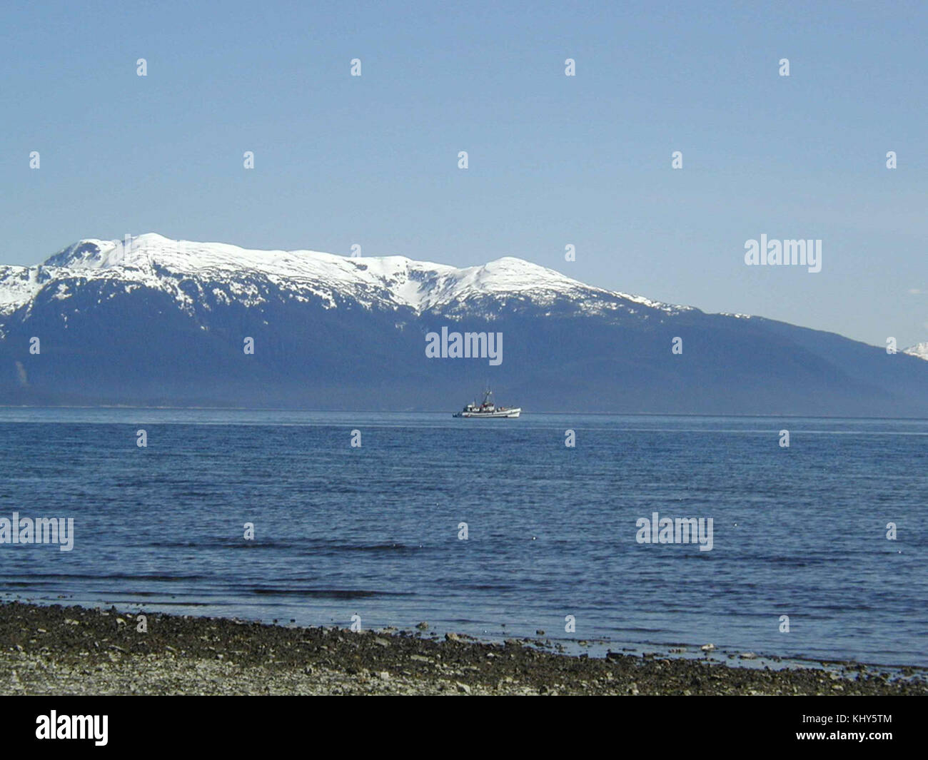 Curlew in Howard bay Stock Photo - Alamy