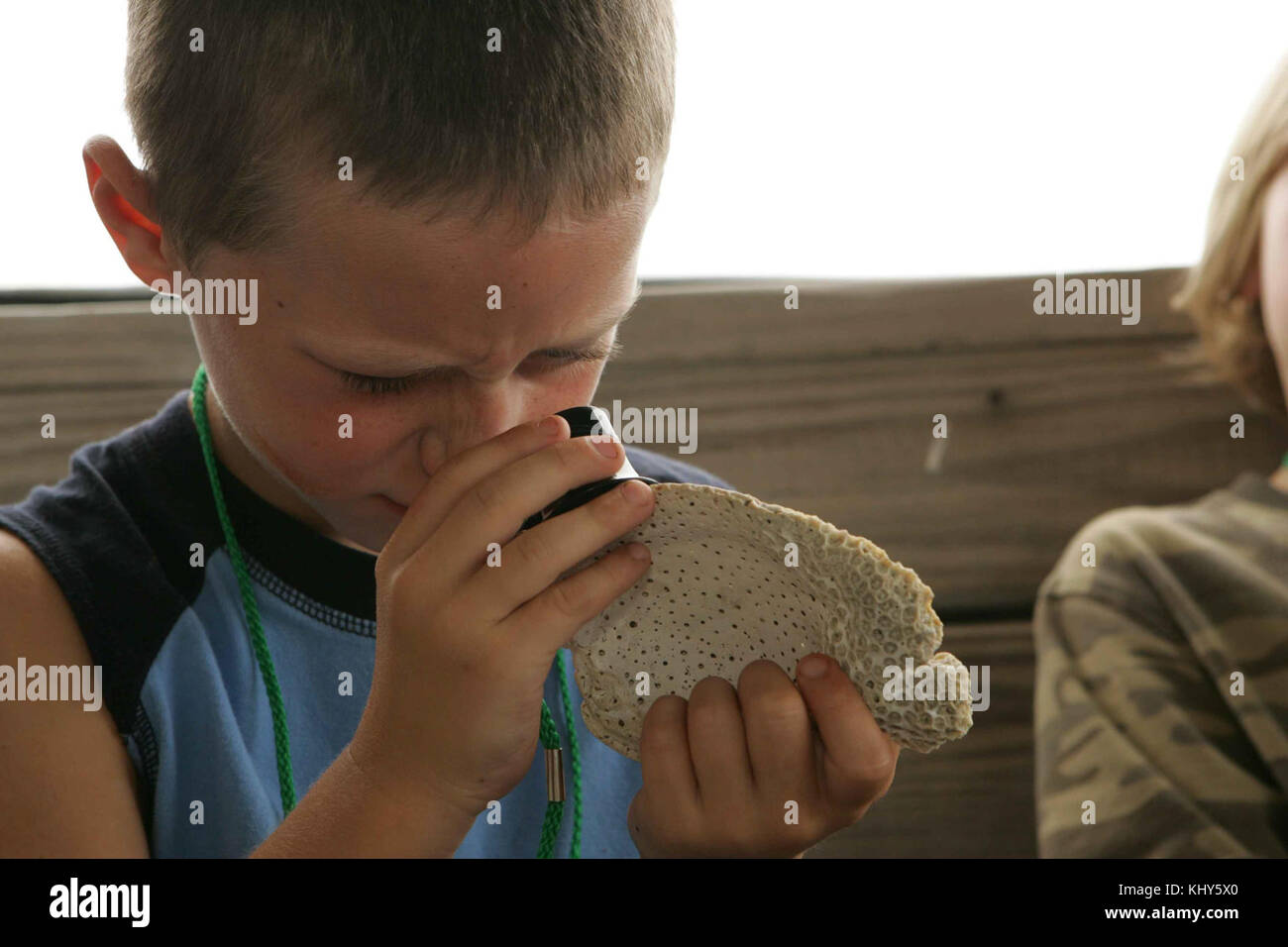 Cute blonde boy looking at sea shell Stock Photo - Alamy