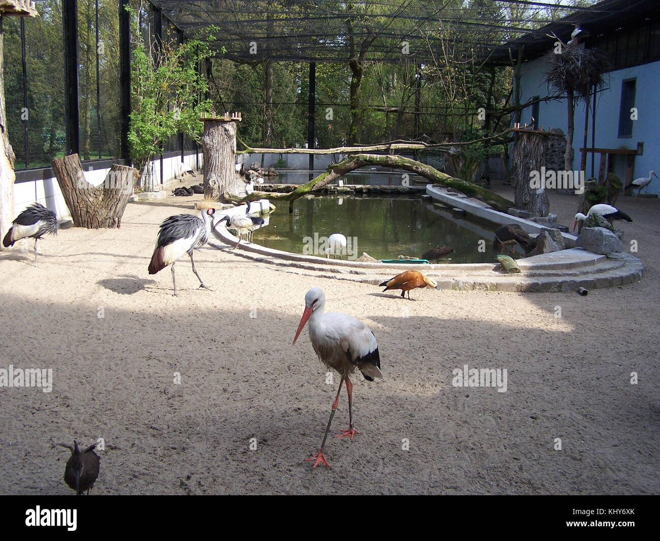 This title translates to 'Birds at the Zoo' and likely refers to a ...