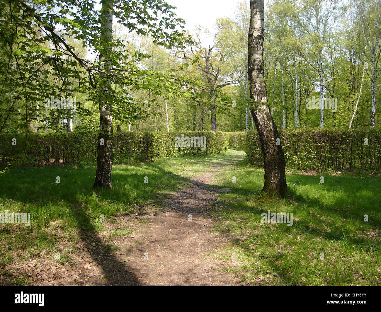 Labirynt hi-res stock photography and images - Alamy