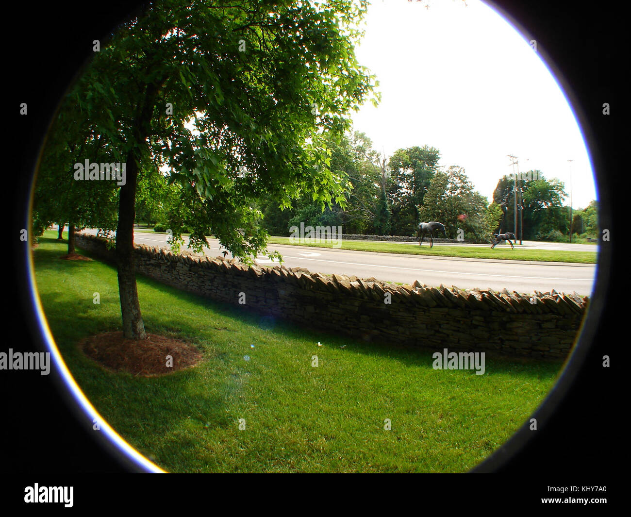 WTN PeepHoles 102 Stock Photo - Alamy