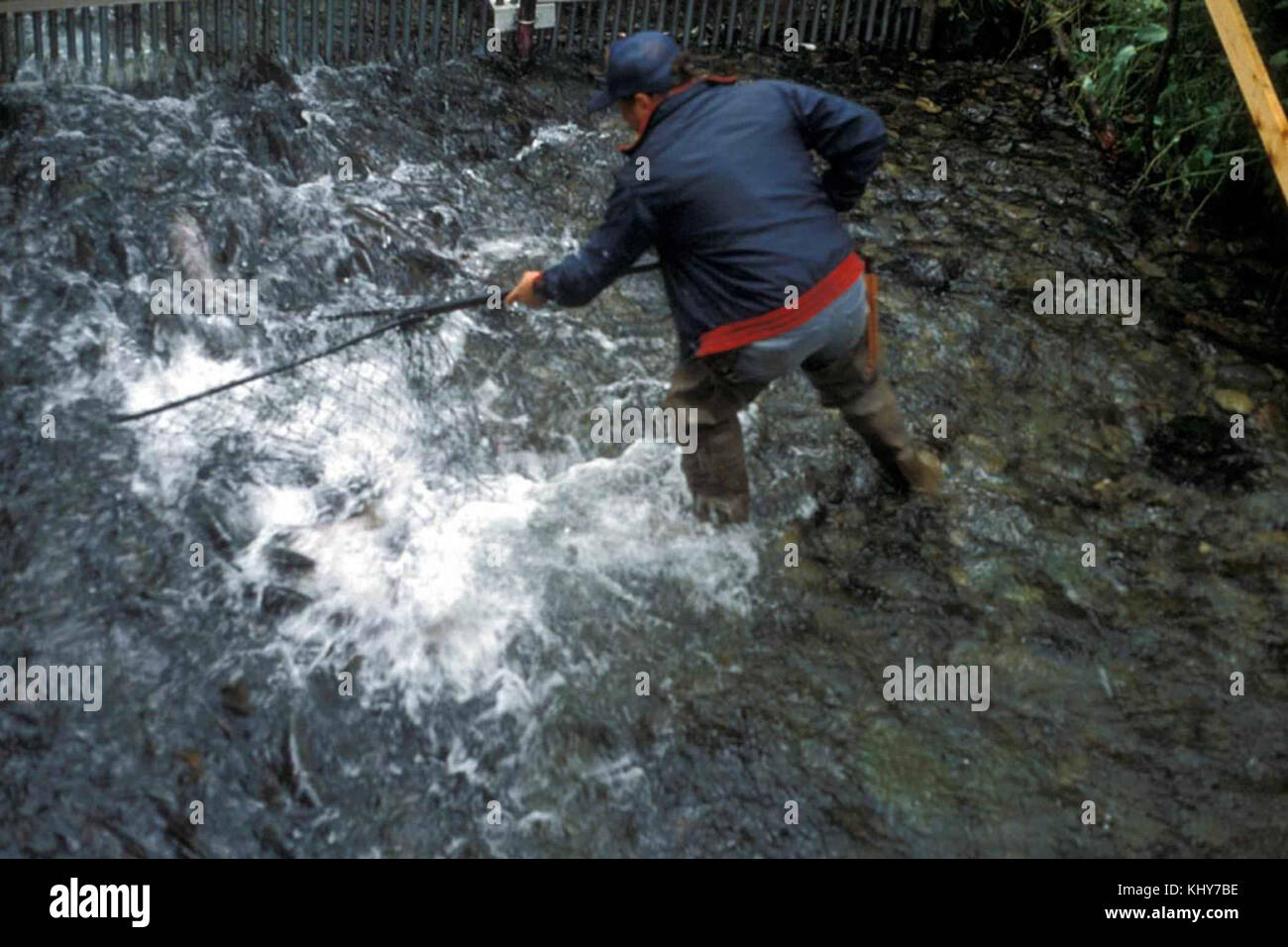 Dipnetting hi-res stock photography and images - Alamy