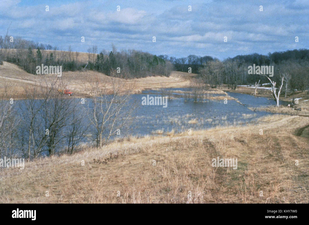 Dry grass around the lake Stock Photo - Alamy