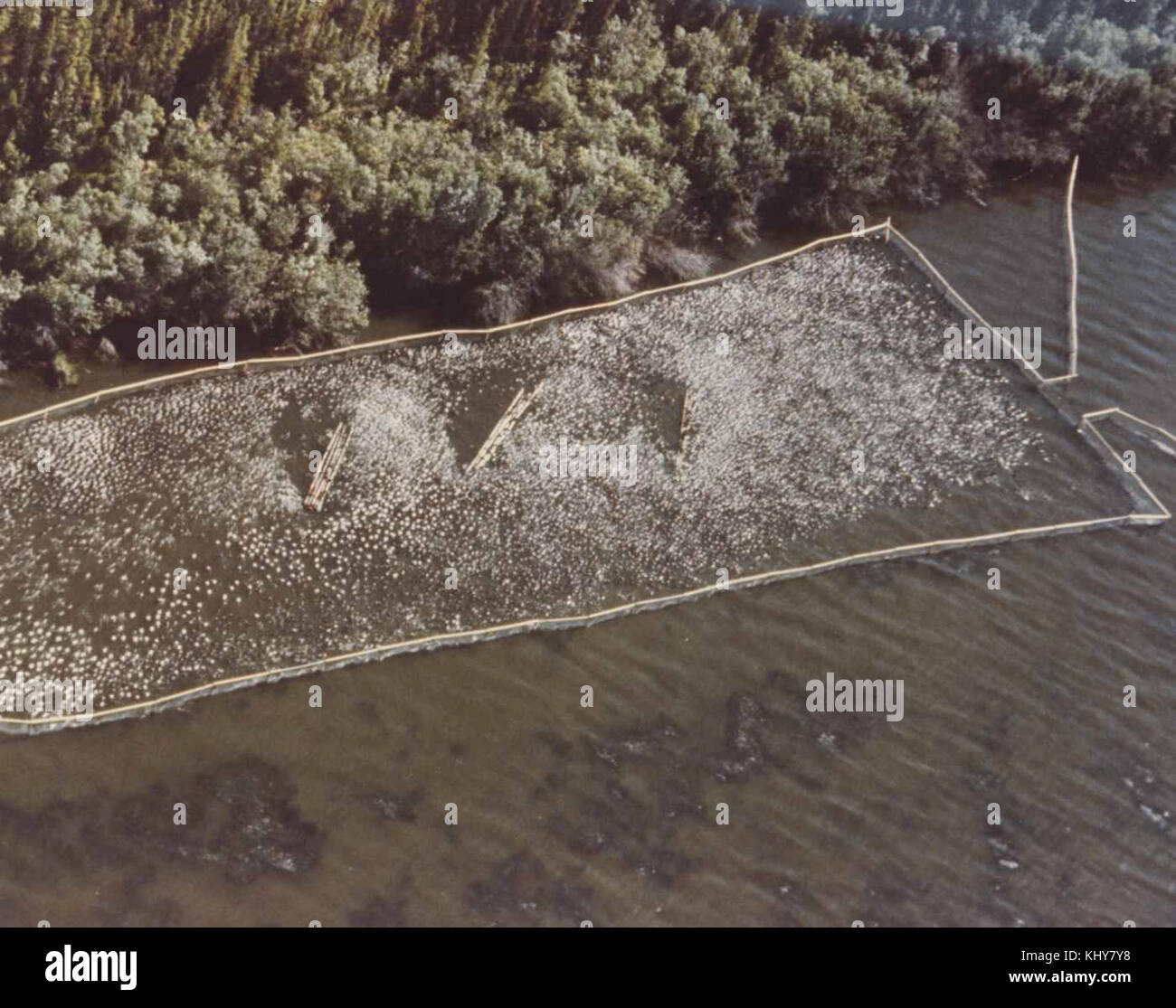 Duck trap on river Stock Photo - Alamy