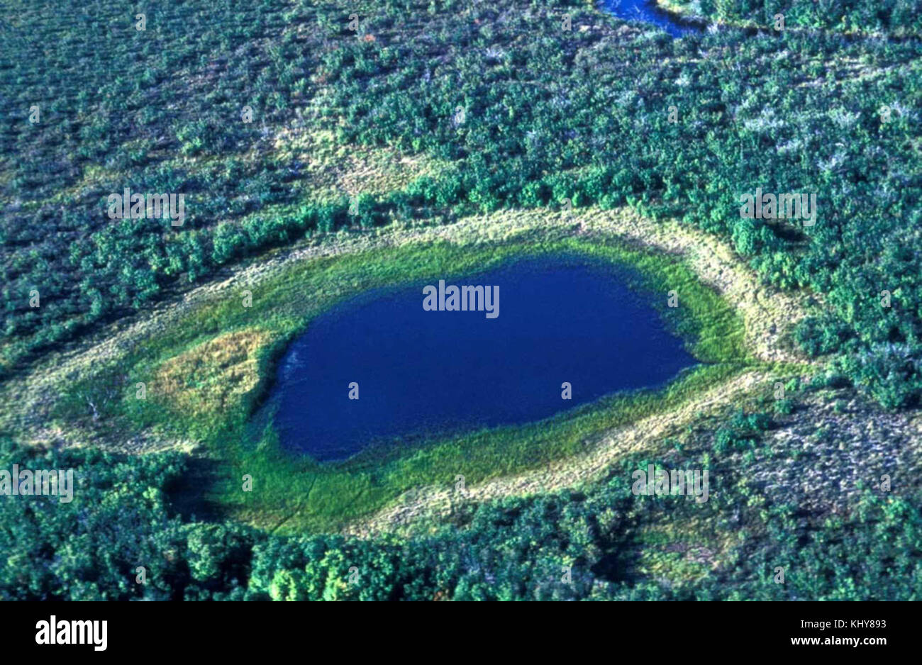 Aerial view of wetland pond Stock Photo - Alamy