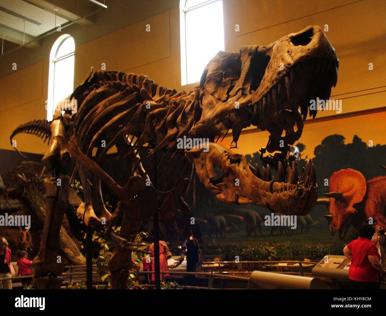 Trex carnegie museum pittsburgh Stock Photo - Alamy
