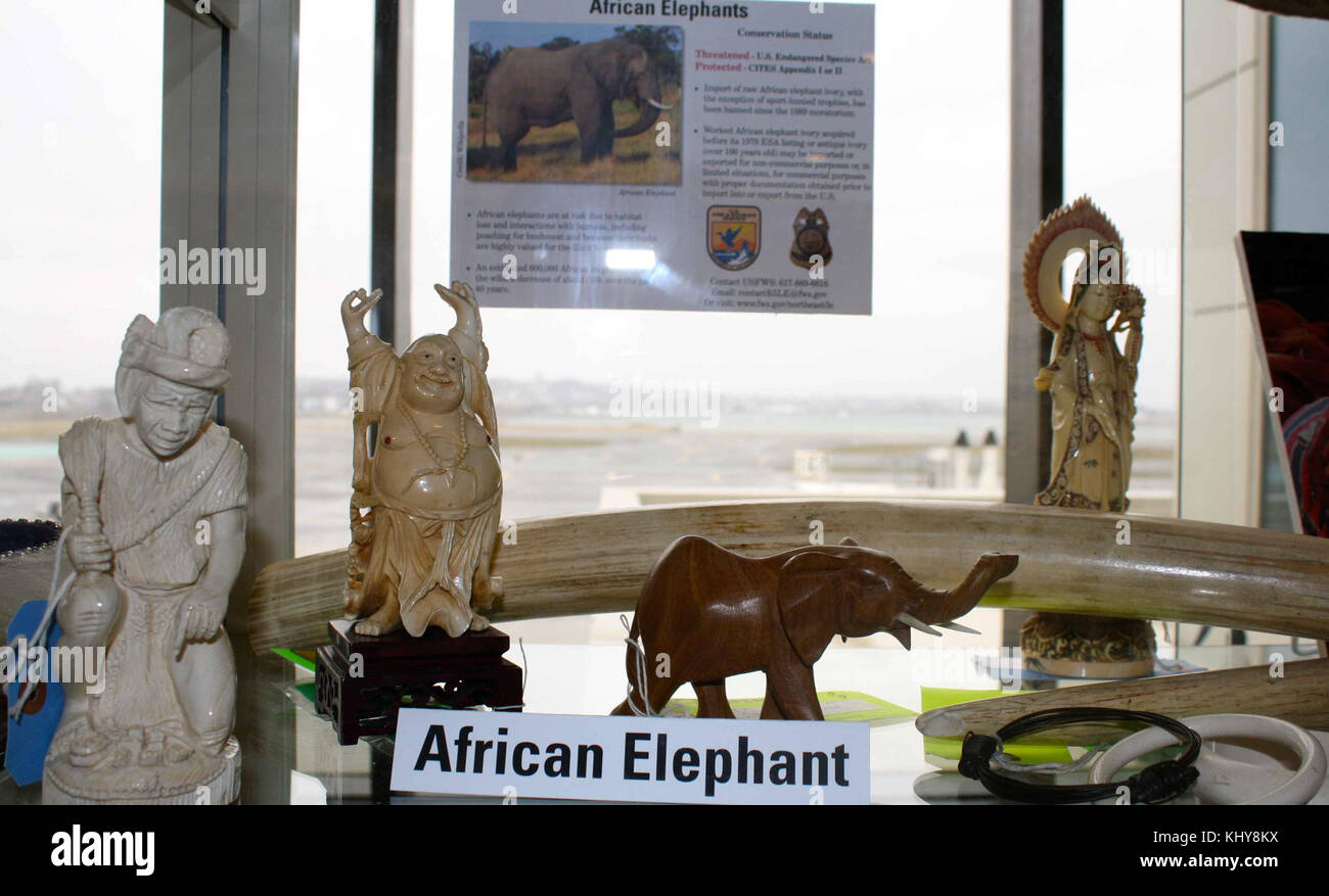 Elephant ivory carvings art Stock Photo - Alamy