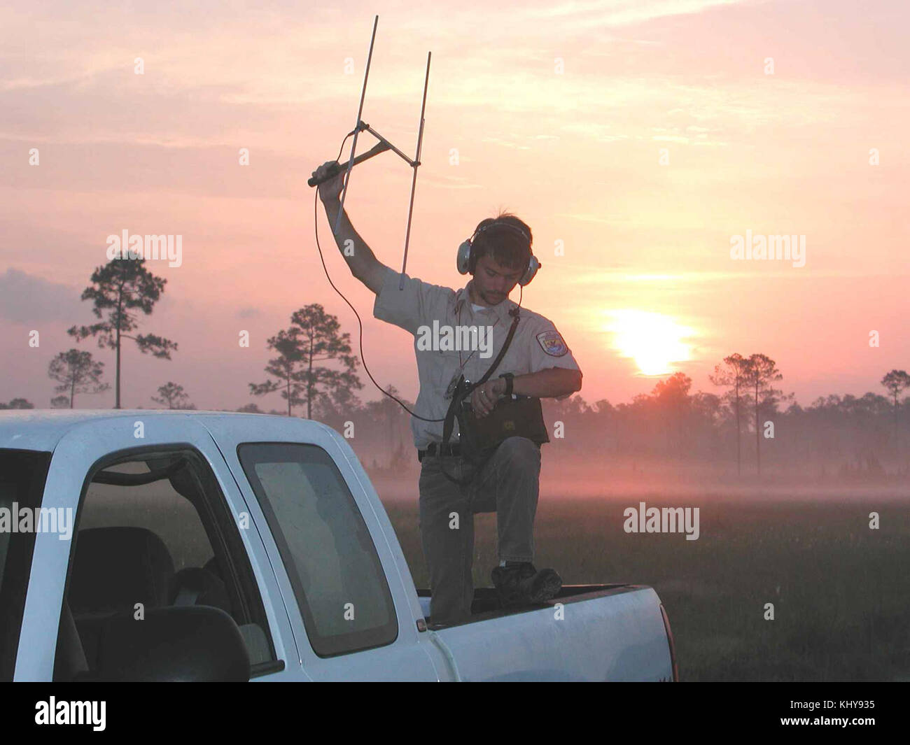 Employee uses tracking device to locate animal Stock Photo - Alamy