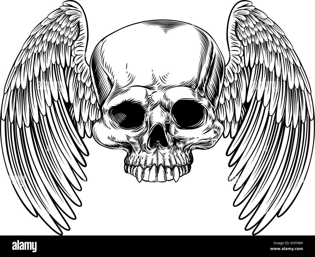 Skeleton of eagle hi-res stock photography and images - Alamy