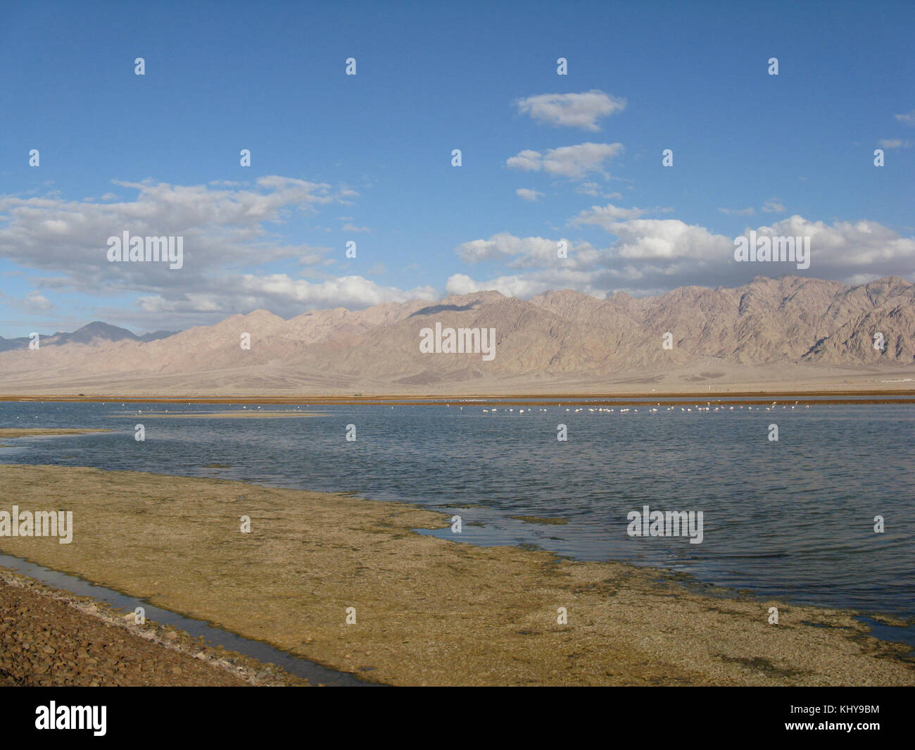 This entry focuses on the geography of Israel, detailing its terrain ...