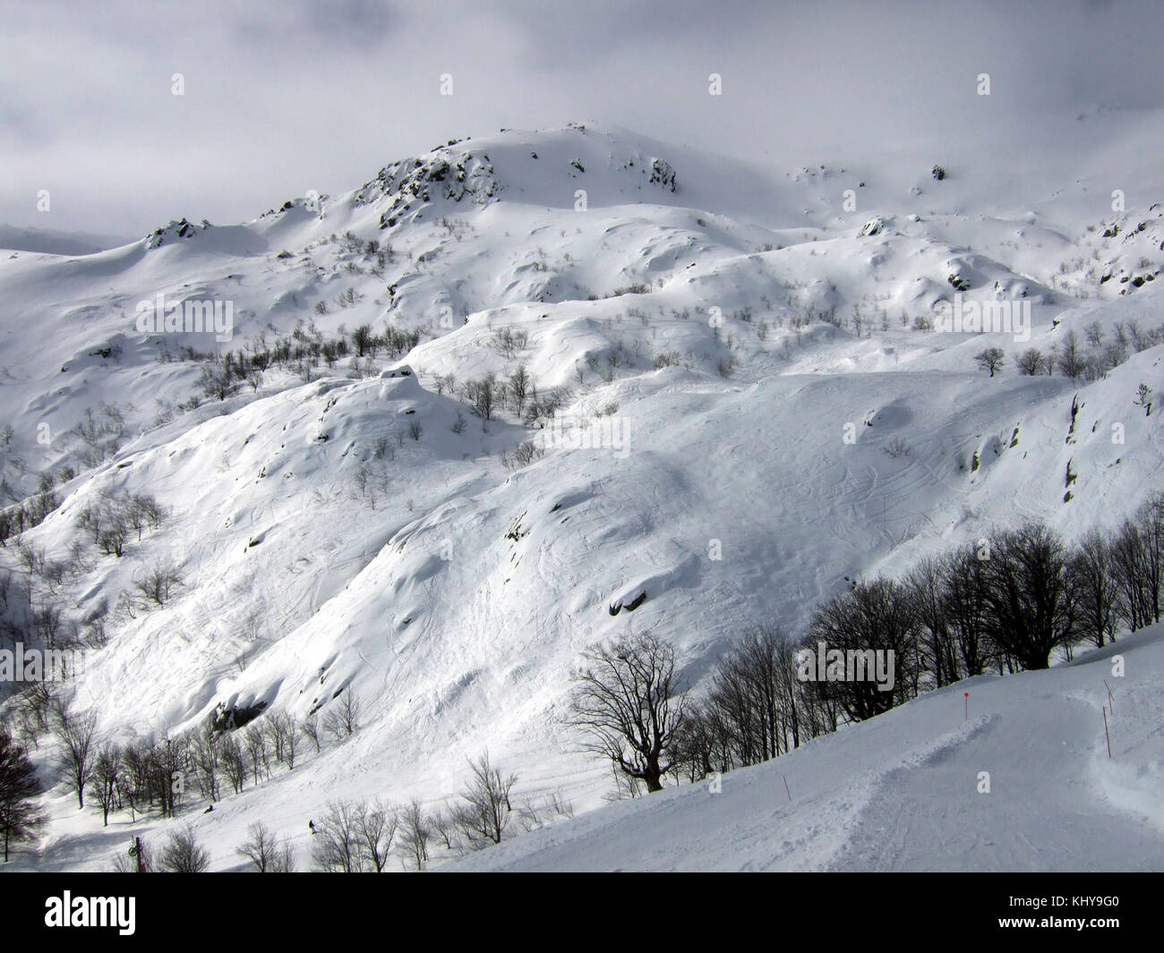 Capannelle hi-res stock photography and images - Alamy