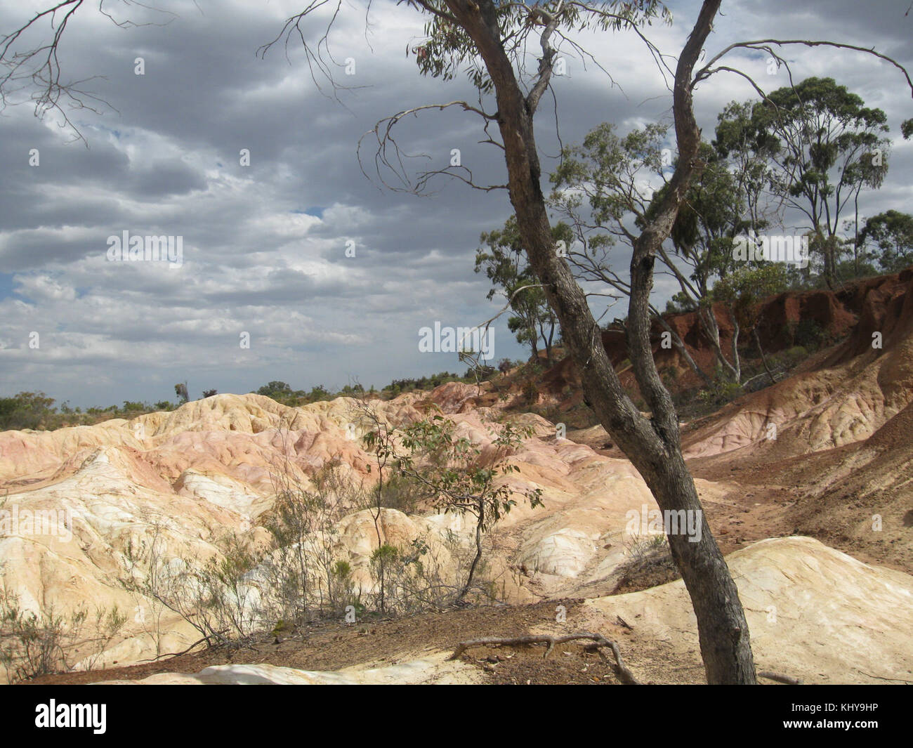 Victoria heathcote pink cliffs Stock Photo - Alamy