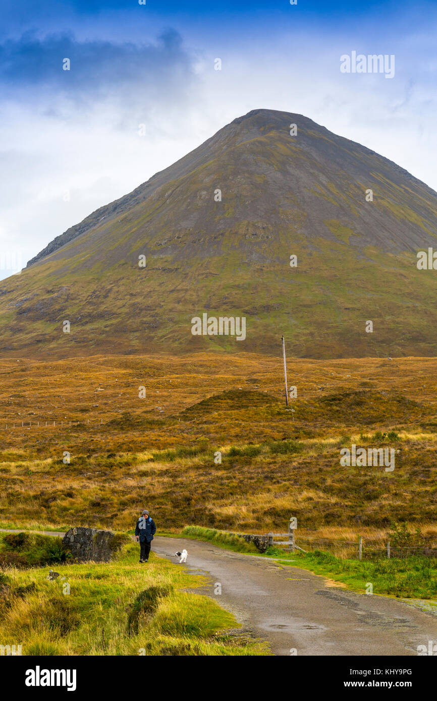 Lady walker her dog hi-res stock photography and images - Alamy