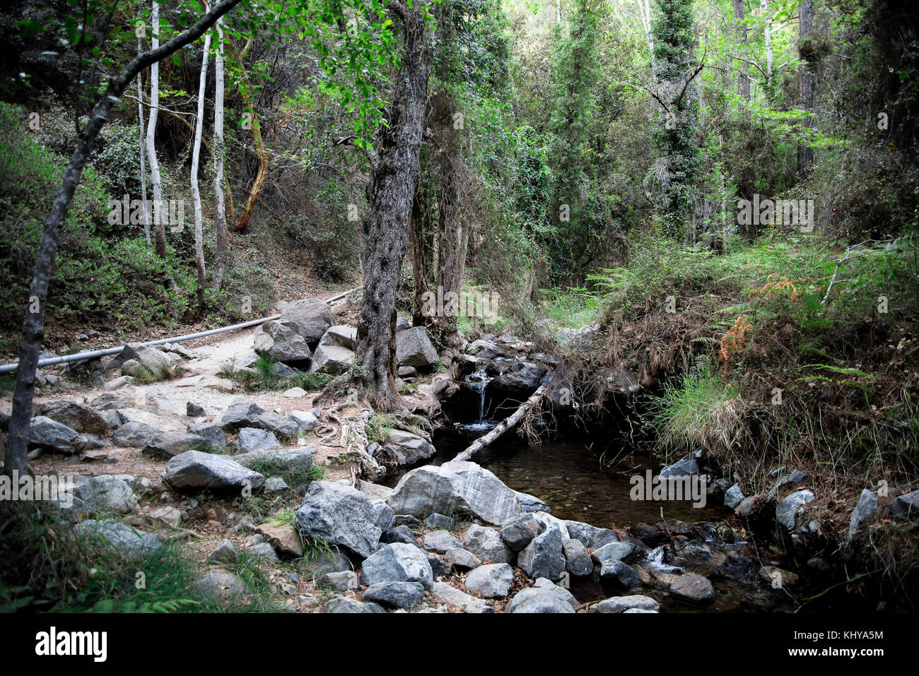 Explore waterfall way hi-res stock photography and images - Alamy