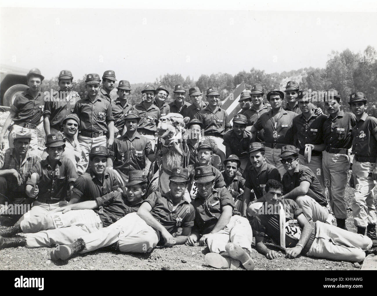 8198 hi-res stock photography and images - Alamy