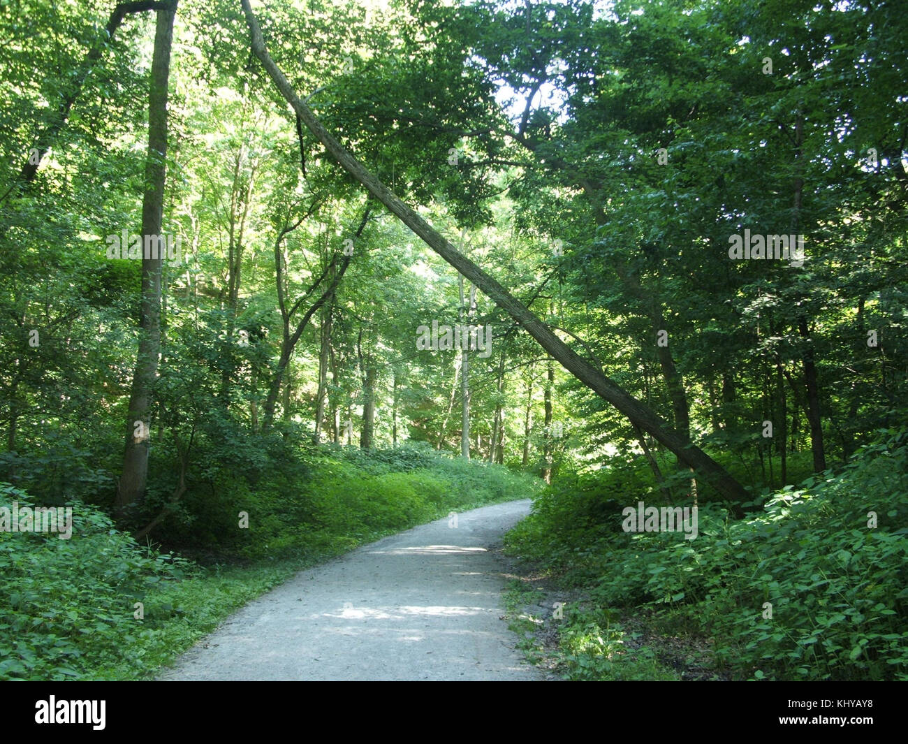 Pittsburgh frick park trail Stock Photo - Alamy