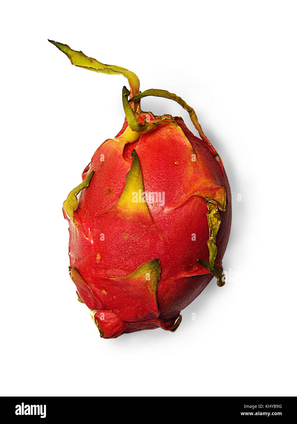 Diversity benefits Cut Out Stock Images & Pictures - Alamy