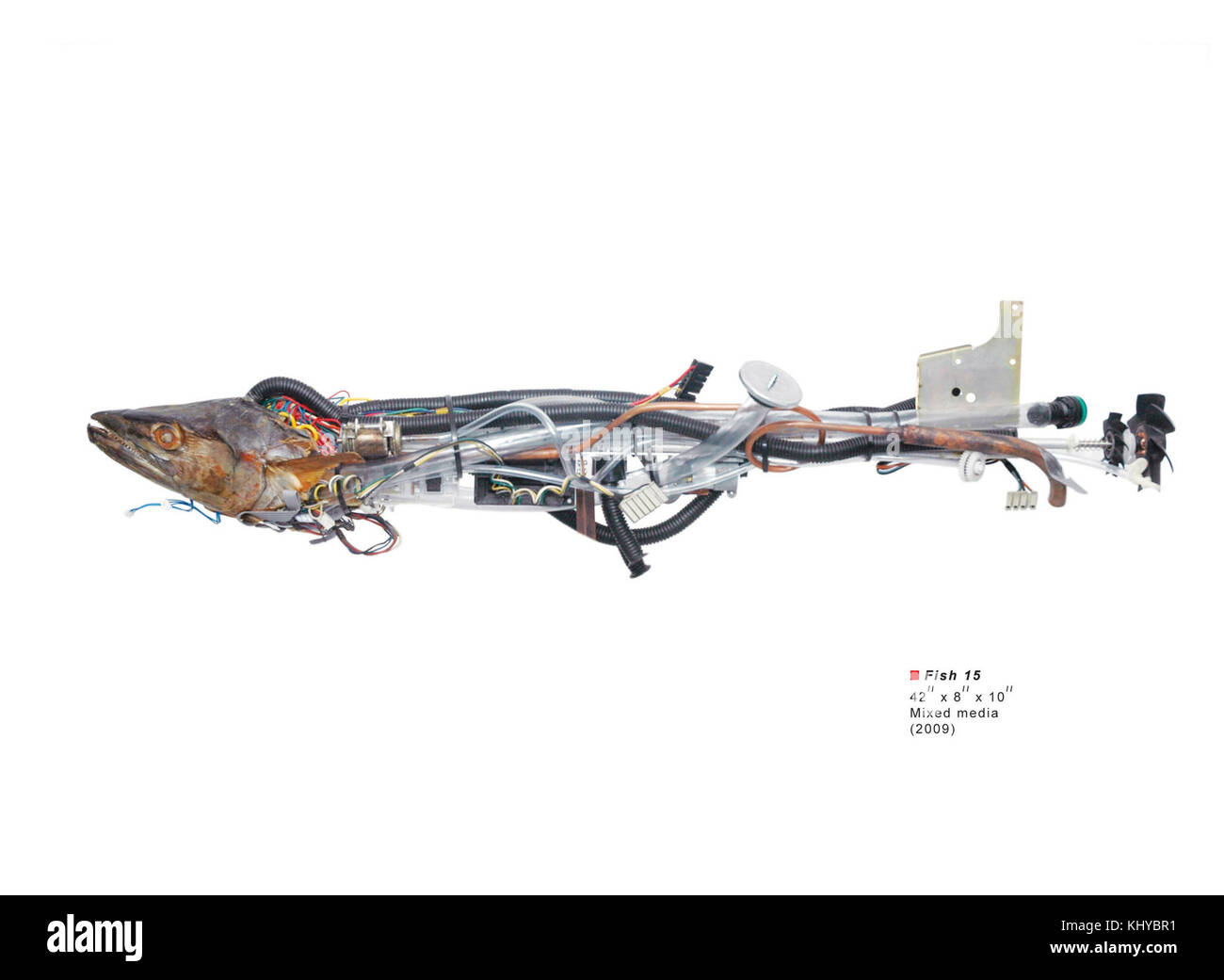 Fish metal Cut Out Stock Images & Pictures - Alamy