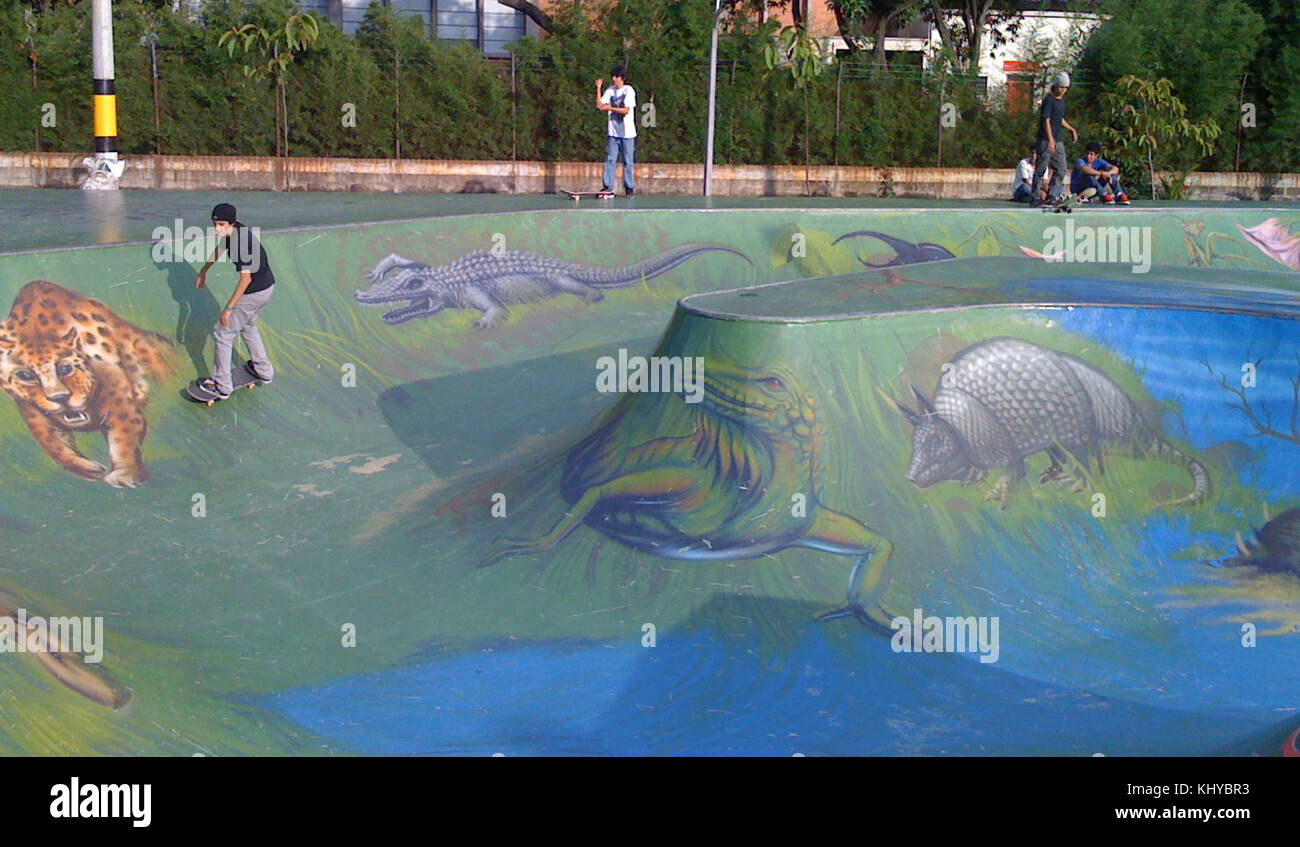 A skateboard track is a designated area designed for skateboarding ...