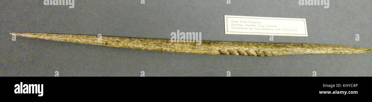 Bone harpoon hi-res stock photography and images - Alamy