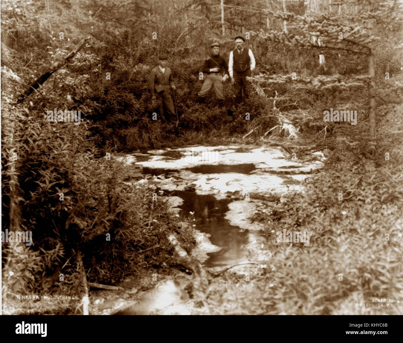 Takhini Hot Springs in 1907 Stock Photo - Alamy