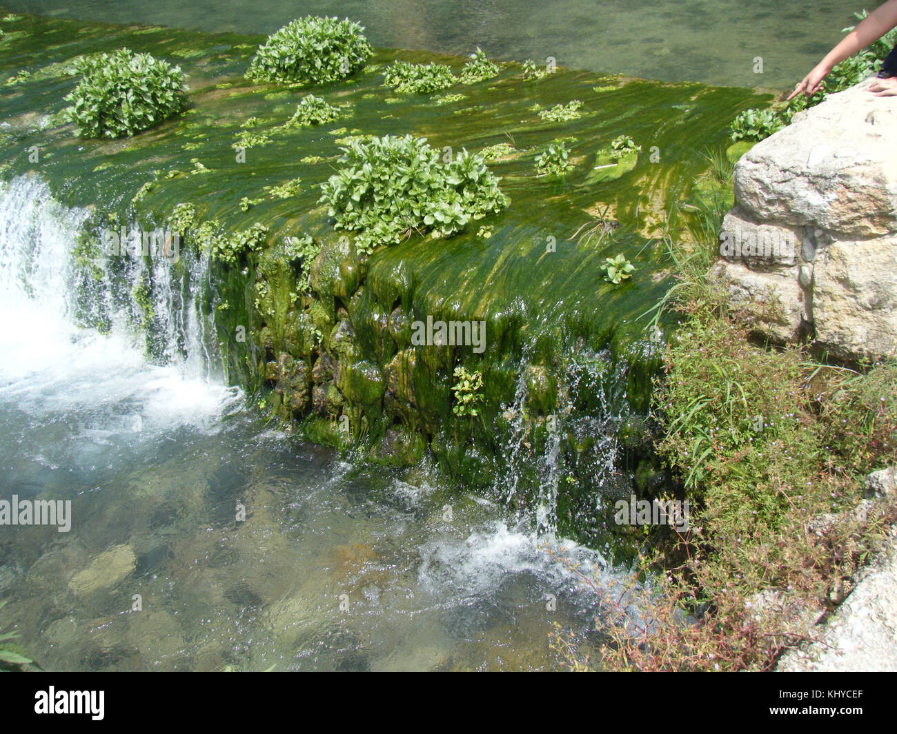 Israel 46372 banias Stock Photo - Alamy