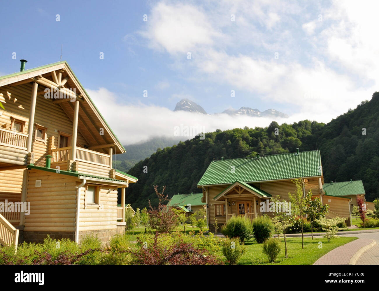 Meadow clearing hi-res stock photography and images - Alamy