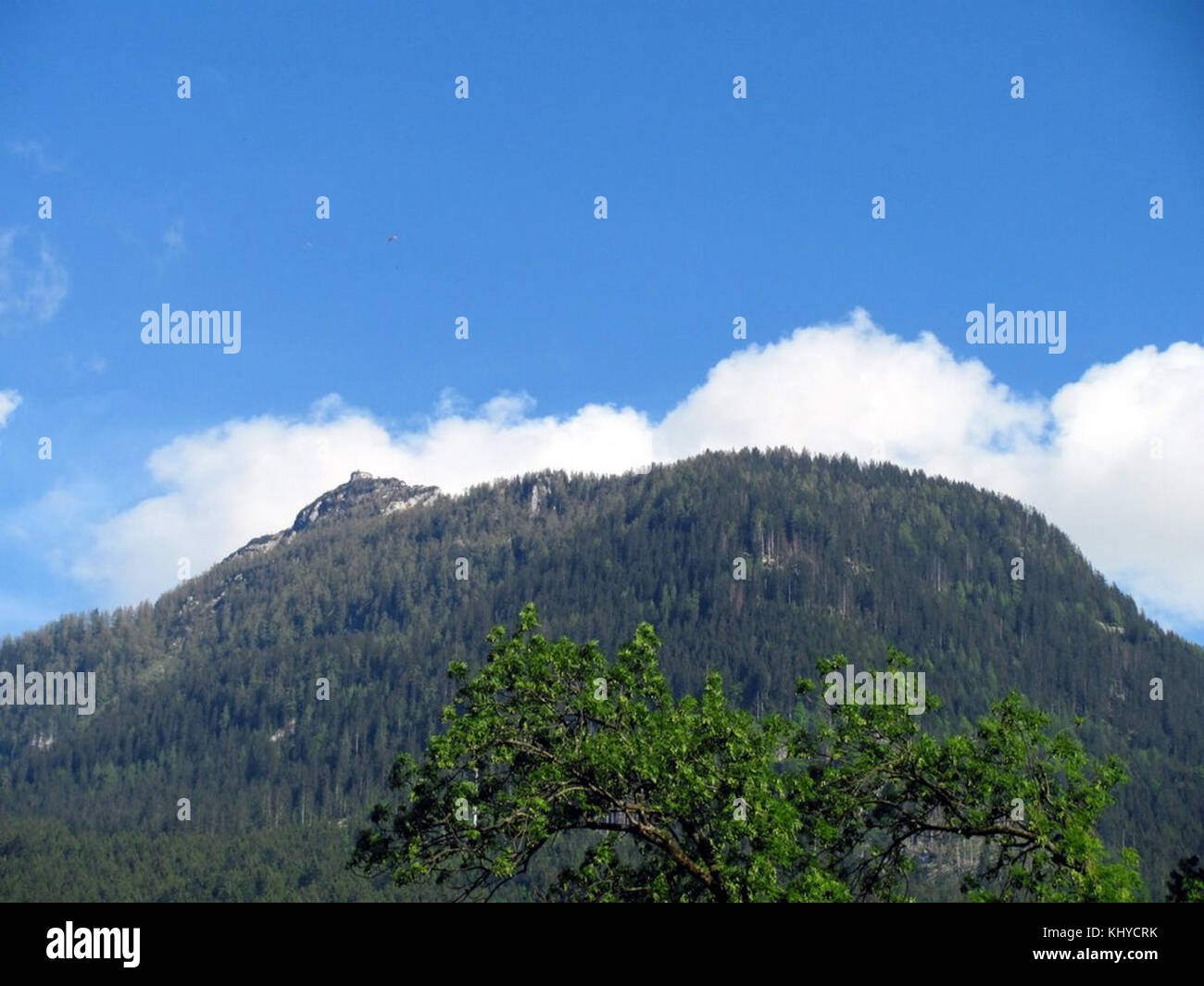 A collection of photographs under the title *Pictures 148*. These ...