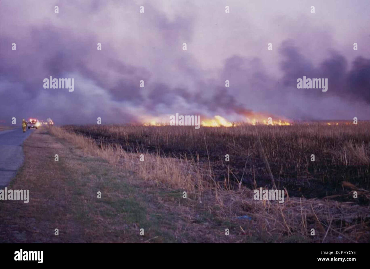 Firefighters extinguished summer fire in the field Stock Photo - Alamy