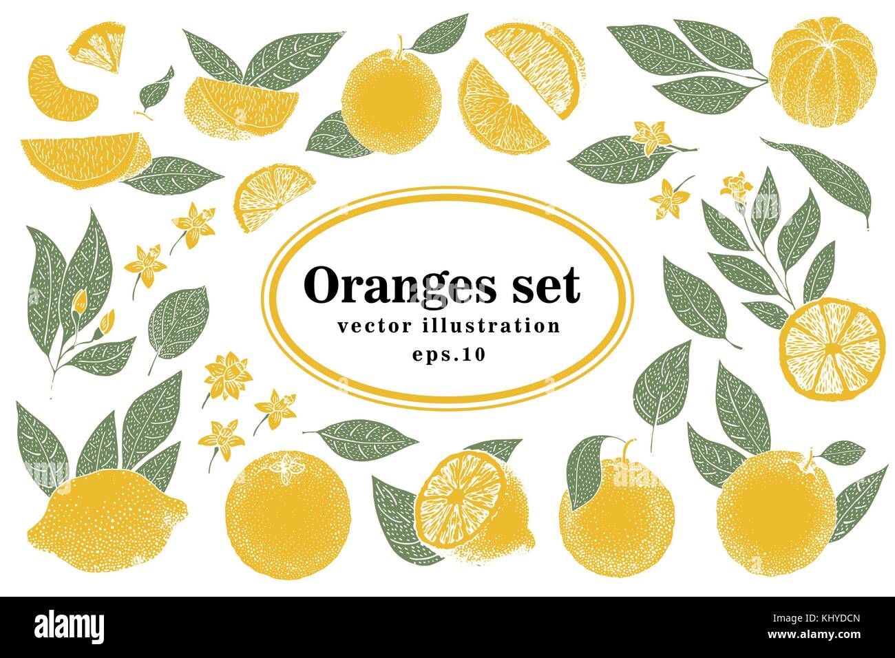 Set of hand drawn citrus illustrations, whole and cut oranges with ...