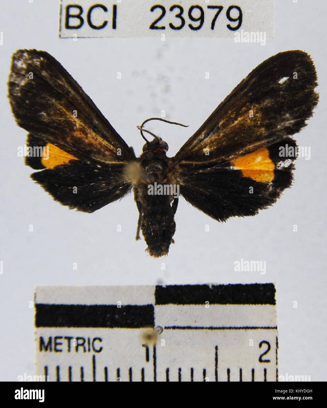 Orola hi-res stock photography and images - Alamy