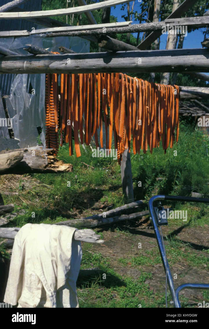 Fish drying on racks on Sun Stock Photo - Alamy